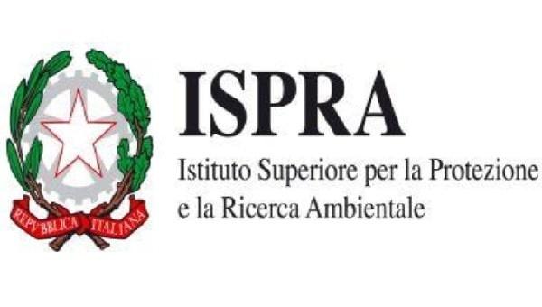 Disponibile online il Rapporto ISPRA “Indicatori di efficienza e ...